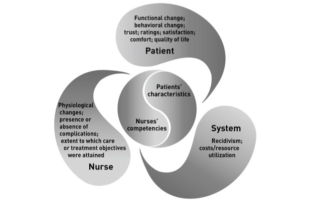 Synergy Model for Patient Care | ANS: Advances in Nursing Science Blog
