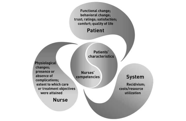 Synergy Model for Patient Care | ANS: Advances in Nursing Science Blog